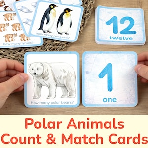 Arctic Animals Counting Activity: Printable Matching Cards. Toddler ...