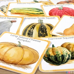 Pumpkin & Squash Memory Game: Printable Matching Activity. Autumn ...
