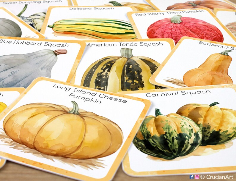 Pumpkin & Squash Memory Game: Printable Matching Activity. Autumn ...