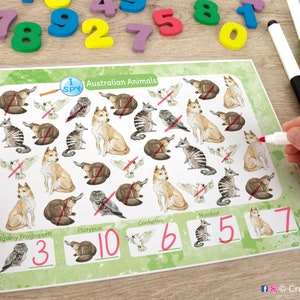 Australian Animals I Spy Counting Activity. Preschool Learning ...