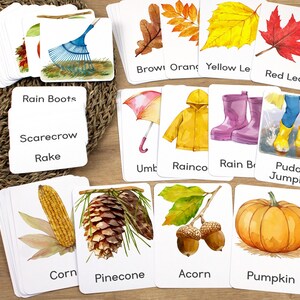 Fall Themed 3-part Cards: Visual Cards & Words Matching. Autumn ...