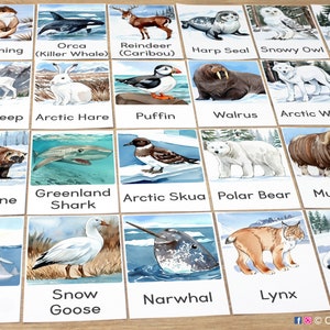 Polar Animals Bingo Game: Printable Preschool, Kindergarten, Toddler ...