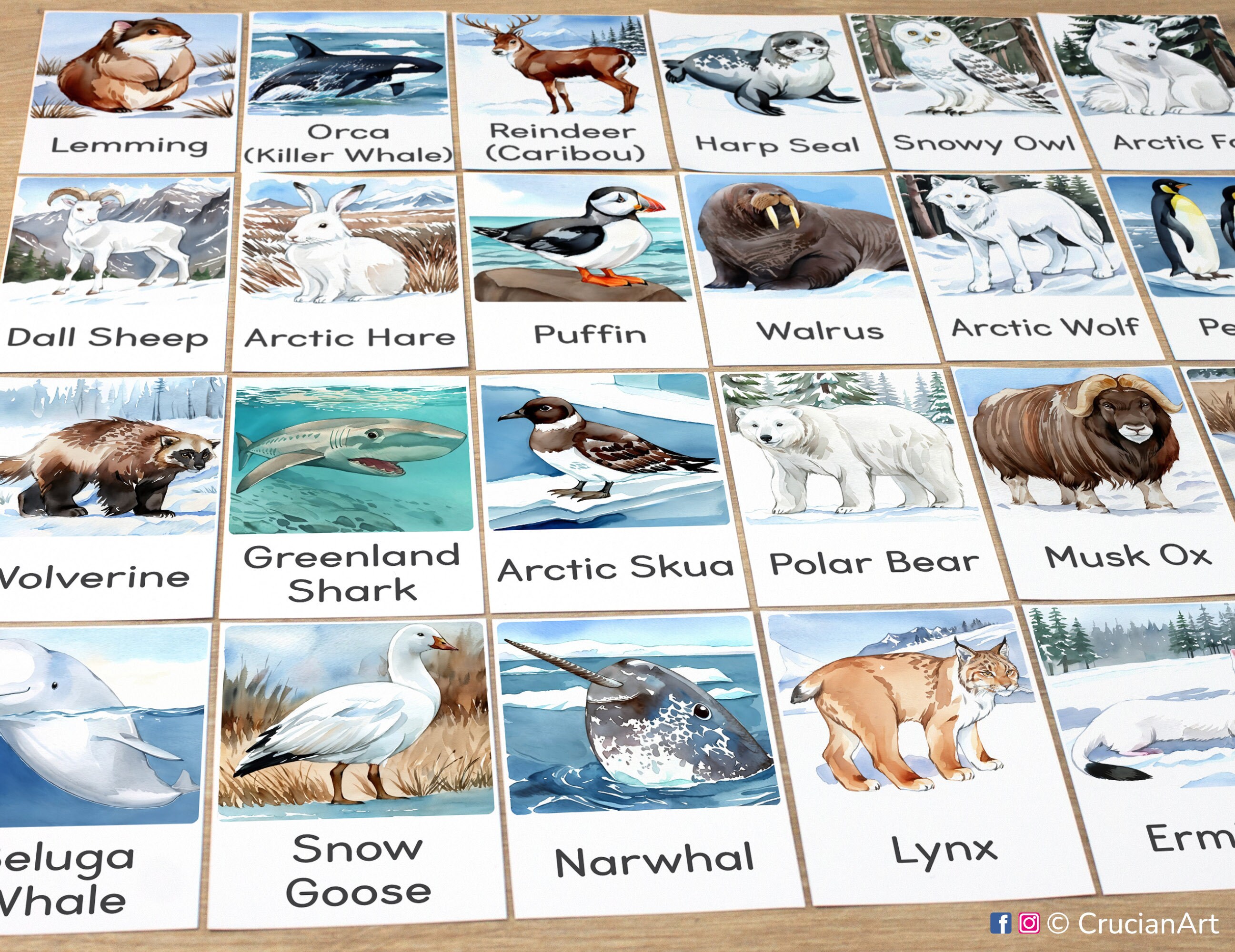 Polar Animals Bingo Game: Printable Preschool, Kindergarten, Toddler ...