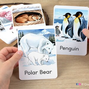 Winter Flashcards: Toddler Preschool Kindergarten Printable Flash Cards ...