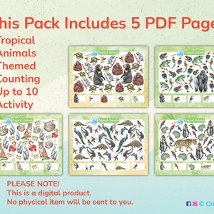 I Spy Tropical Rainforest Jungle Animals Counting Activity. Preschool ...