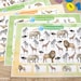 African Savanna Animals I Spy Counting Worksheets. Safari Grassland ...