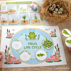 Spring Busy Book. Printable Preschool Activity Book. Preschool ...