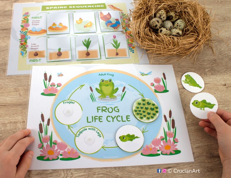 Spring Busy Book. Printable Preschool Activity Book. Preschool ...