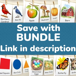 Winter Flashcards: Toddler Preschool Kindergarten Printable Flash Cards ...