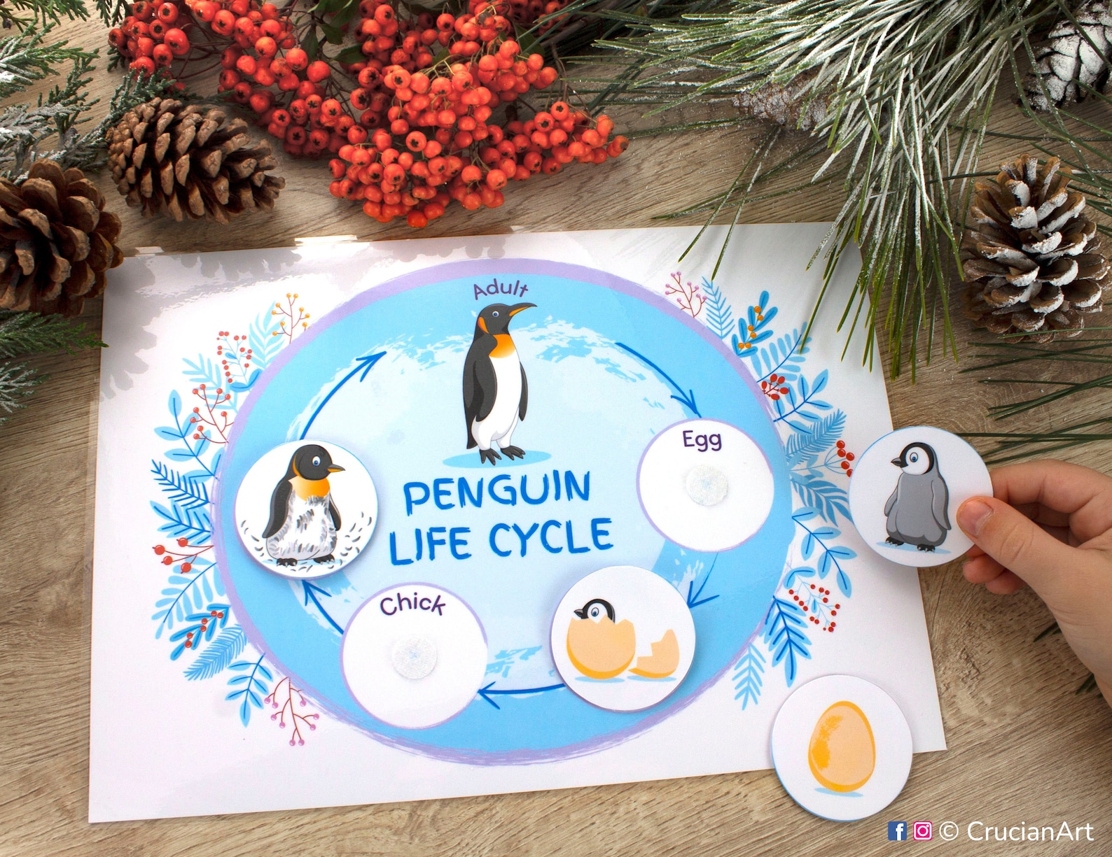 Winter Printable Busy Book. Preschool Learning Binder. - Etsy