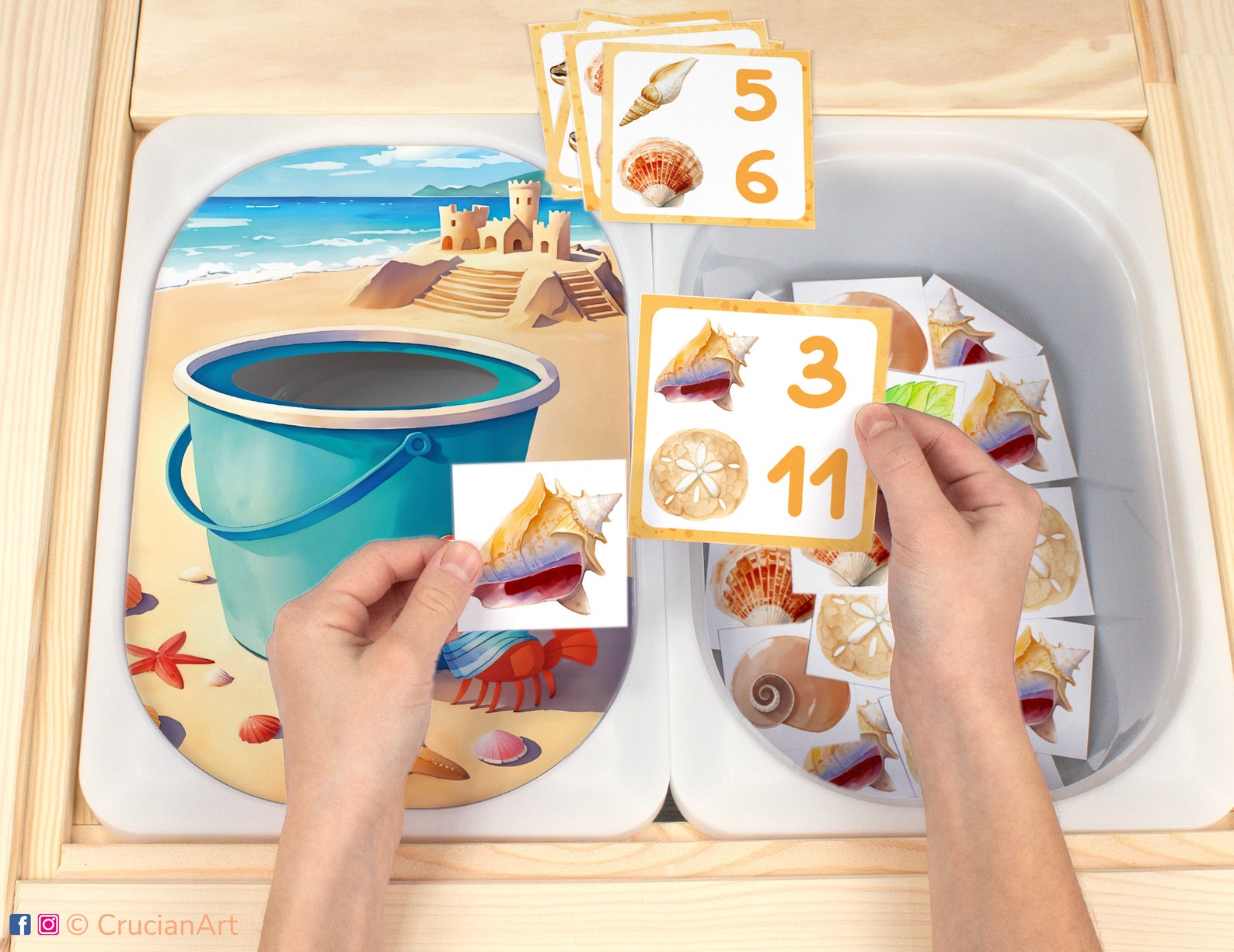 Seashells Flisat Insert: Sort and Count to 12 Summer Beach Printable ...
