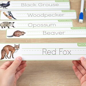 Woodland Animals Tracing Strips: Printable Educational Activities ...