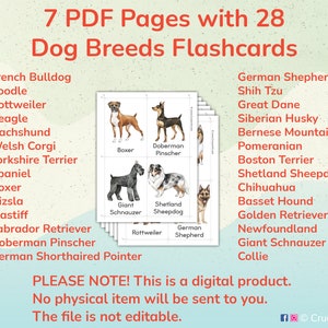 Dog Breeds Flashcards: Set of Printable Flash Cards. Preschool Learning ...