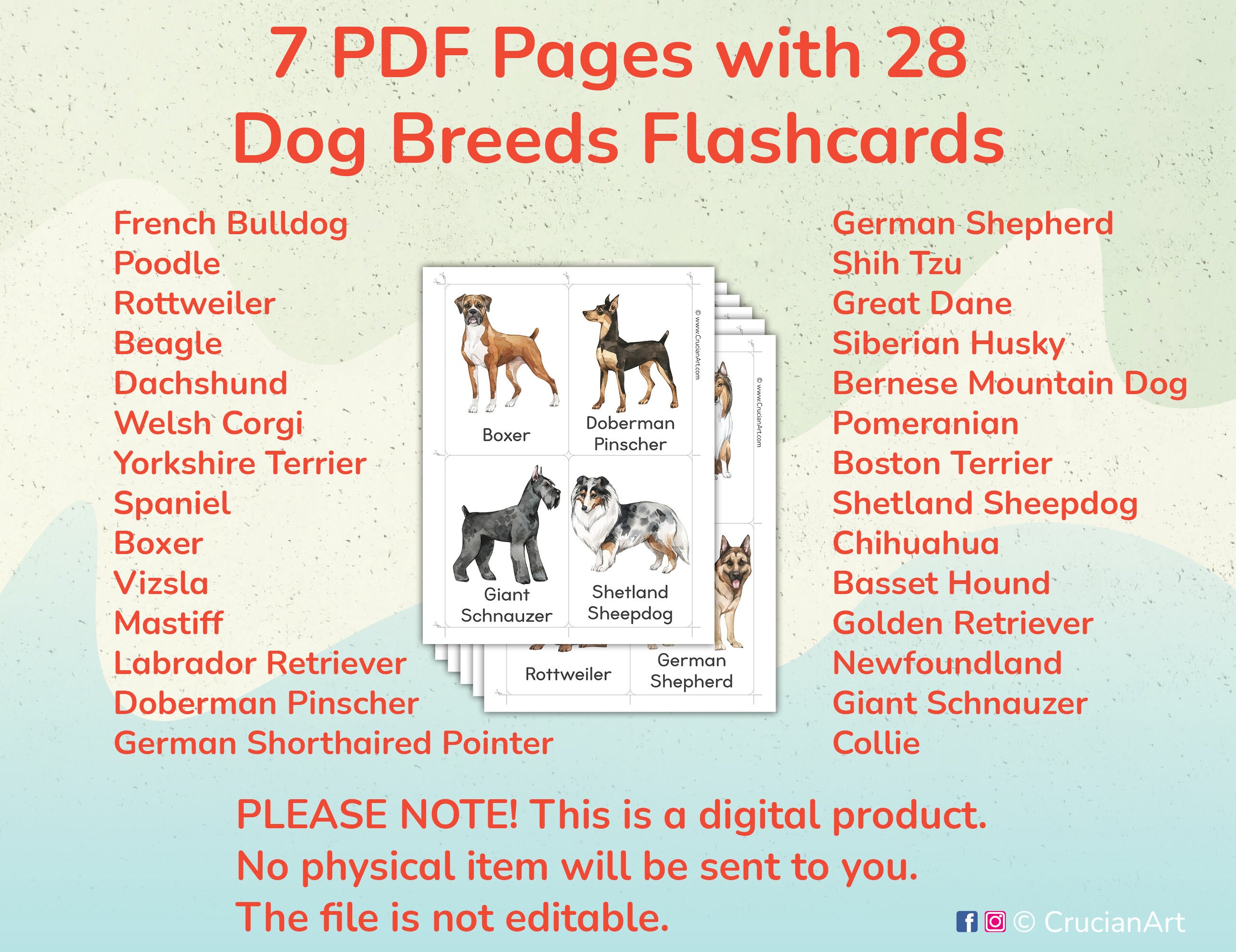 Dog Breeds Flashcards: Set of Printable Flash Cards. Preschool Learning ...