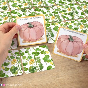 Pumpkin & Squash Memory Game: Printable Matching Activity. Autumn ...