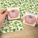 Pumpkin & Squash Memory Game: Printable Matching Activity. Autumn ...