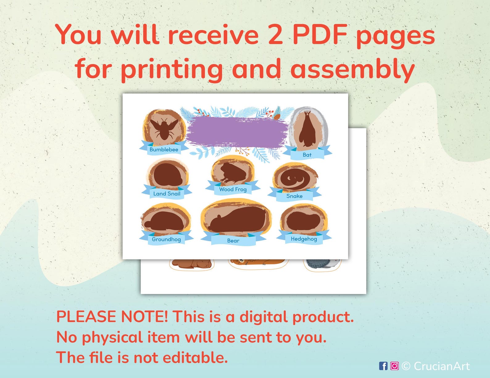Animals That Hibernate: Hibernating Animal Silhouette Matching Activity ...