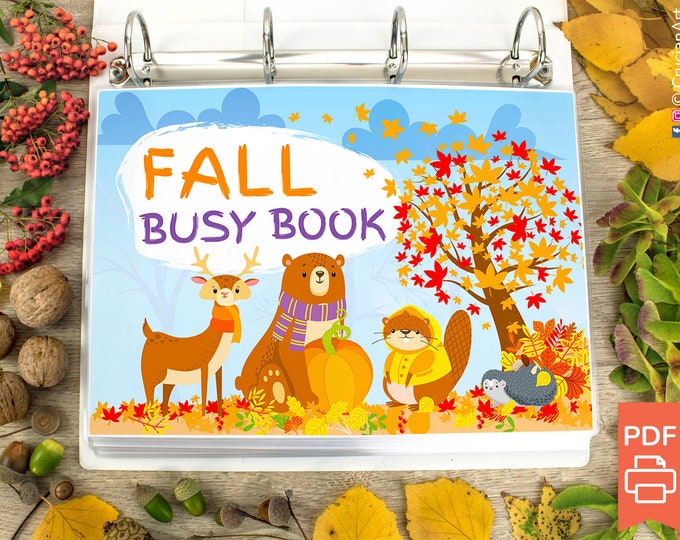 Toddler Busy Book, Toddler Learning Binder, Learning Folder, Preschool ...