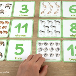 Woodland Animals Counting Activity: Printable Matching Cards. Preschool ...