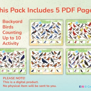 Backyard Birds I Spy Counting Activity. Preschool Learning Worksheets ...