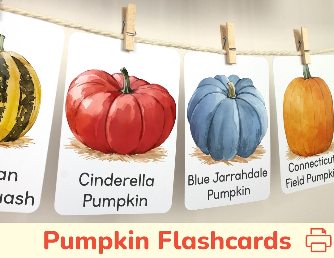 Pumpkin & Squash Flashcards: Seasonal Visual Cards for Fall Education ...