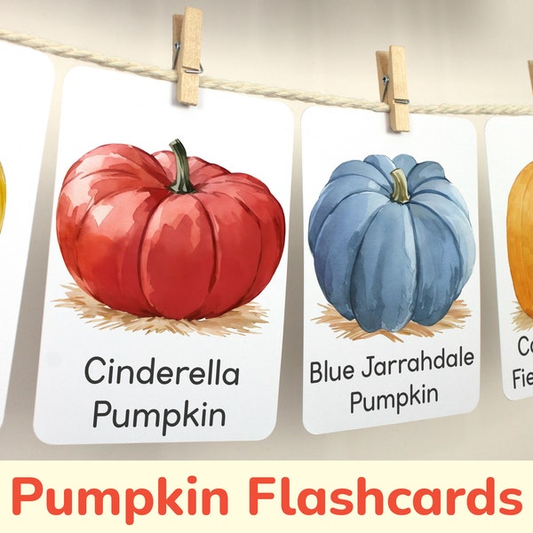 Pumpkin Flashcard - Etsy UK