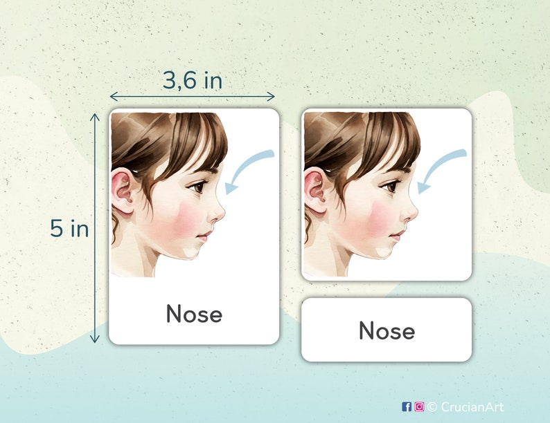 Body Parts 3-part Cards, Girl Version. Body Identification Printable ...
