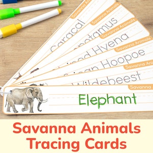 Savanna Grassland Animals Tracing Strips: Printable Educational ...