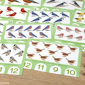 North American Backyard Birds Count & Clip Cards. Printable Homeschool ...
