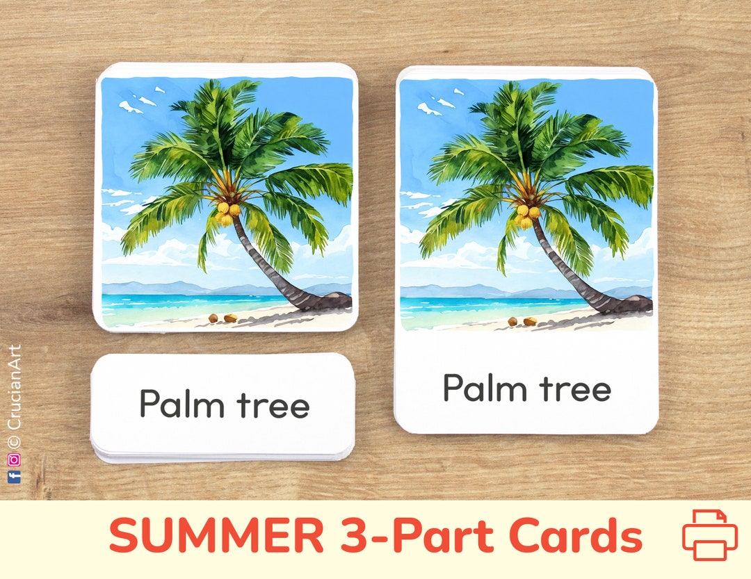Summer Words 3-part Cards. Printable Learning Flashcards - Etsy