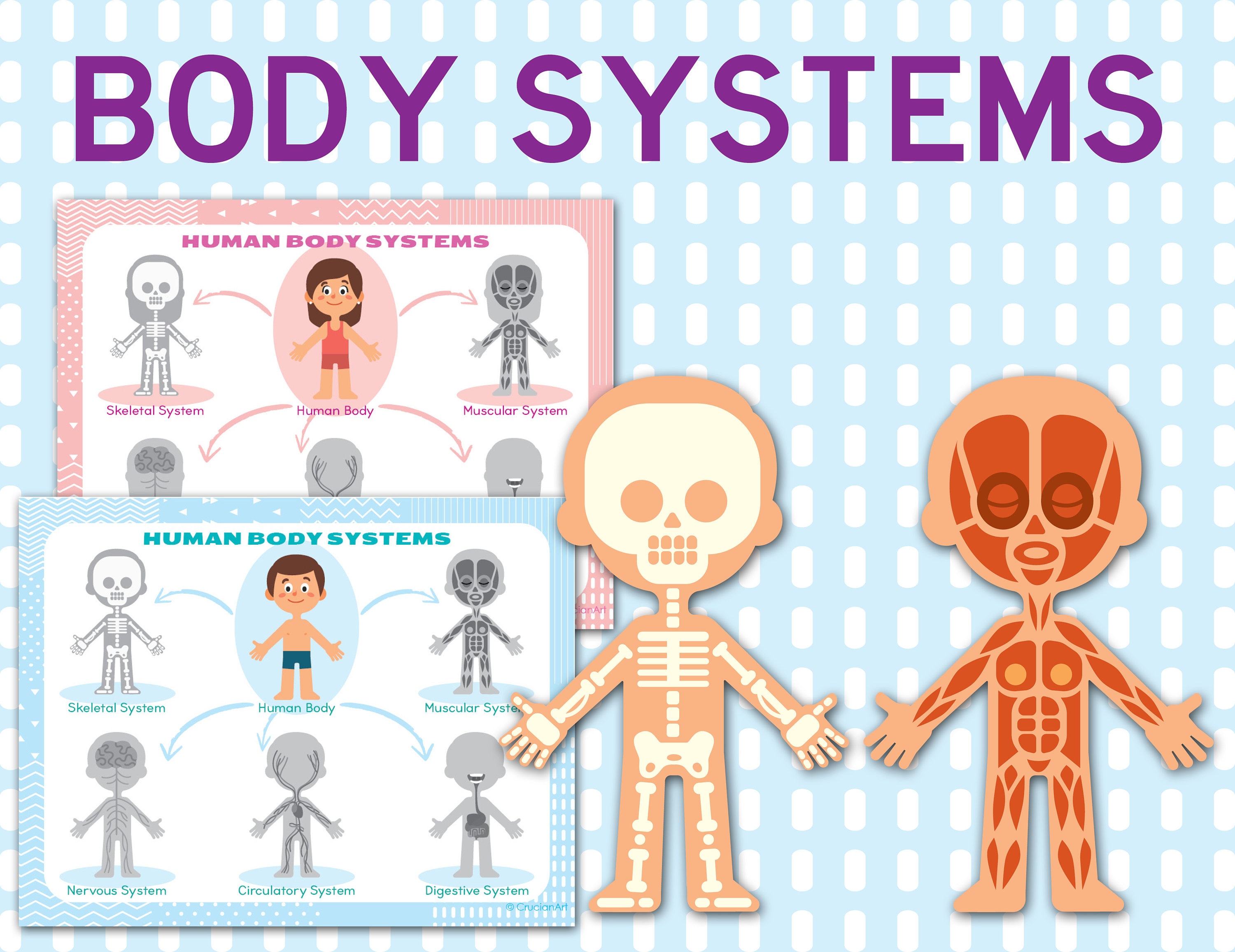 Human Body Systems Printable Learning Anatomy Pack. Preschool | Etsy UK