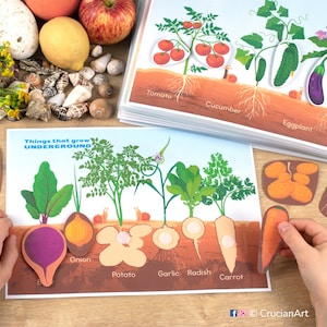 Summer Busy Book. Printable Preschool Activity Book. Preschool ...