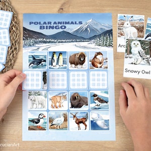 Polar Animals Bingo Game: Printable Preschool, Kindergarten, Toddler ...