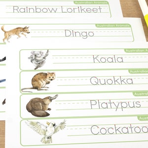 Australian Animals Tracing Strips: Printable Educational Activities ...