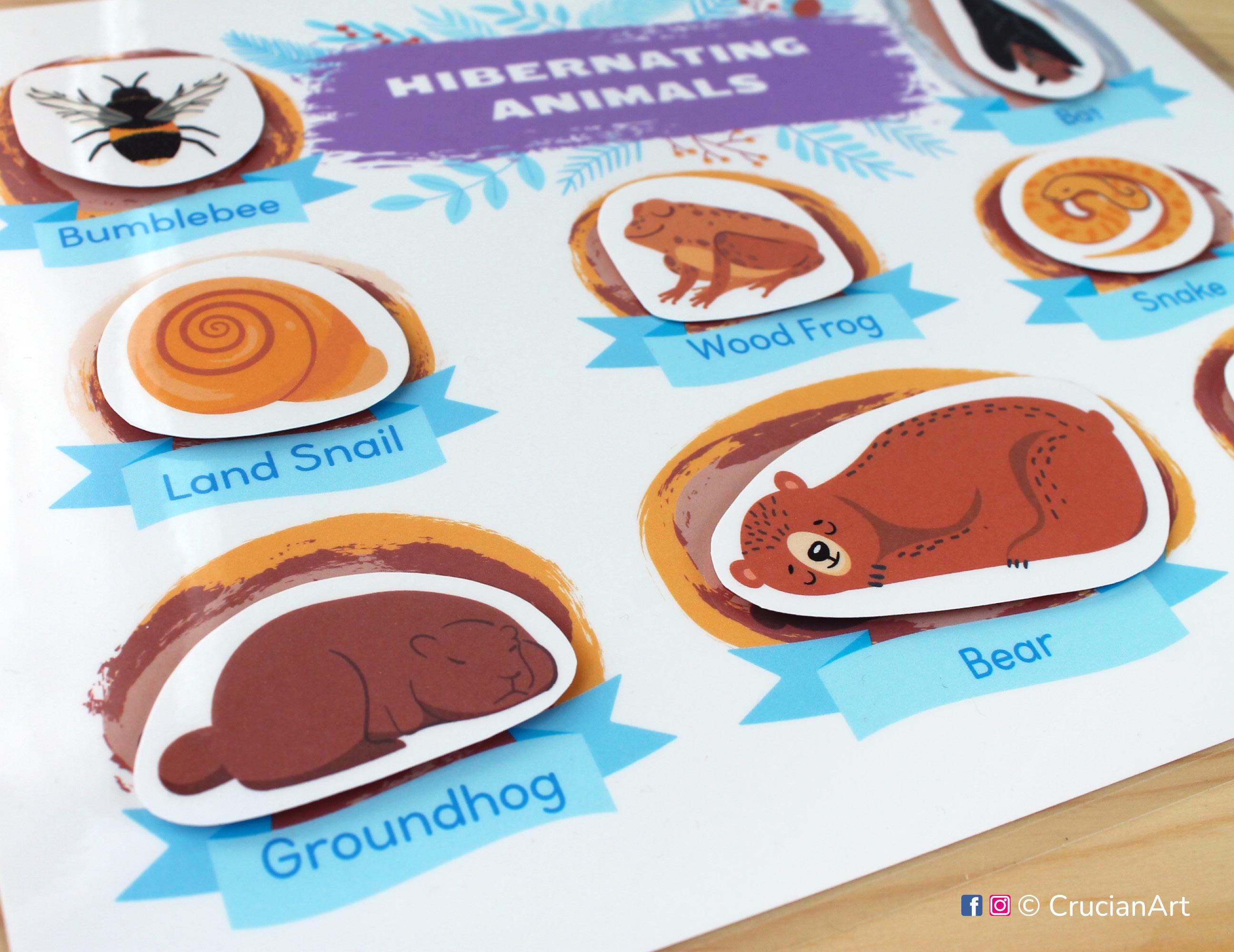 Animals That Hibernate: Hibernating Animal Silhouette Matching Activity ...