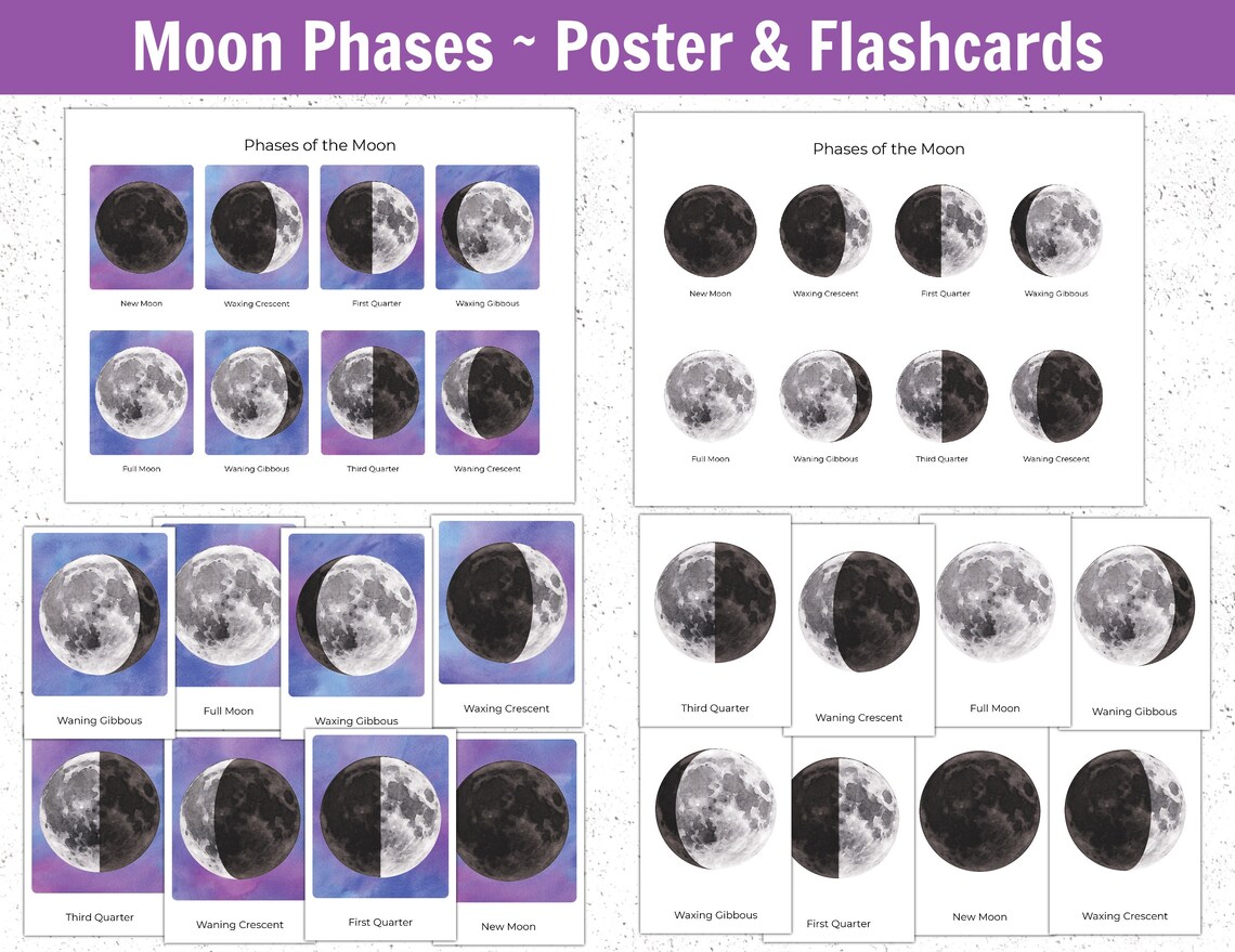 Moon Phases Flashcards & Poster Phases of the Moon | Etsy