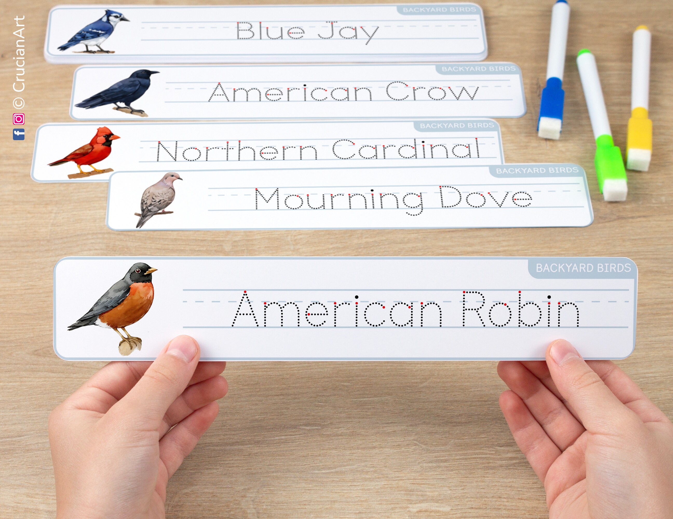 North American Backyard Birds Tracing Cards. Printable Learning ...
