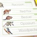 Woodland Animals Tracing Strips: Printable Educational Activities ...