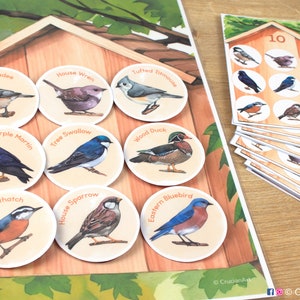 Cavity-nesting Birds Pattern Recognition Activity. Printable Matching ...