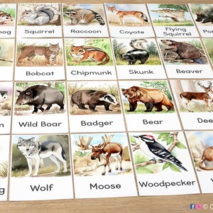 Woodland Animals Bingo Game: Printable Preschool, Kindergarten, Toddler ...