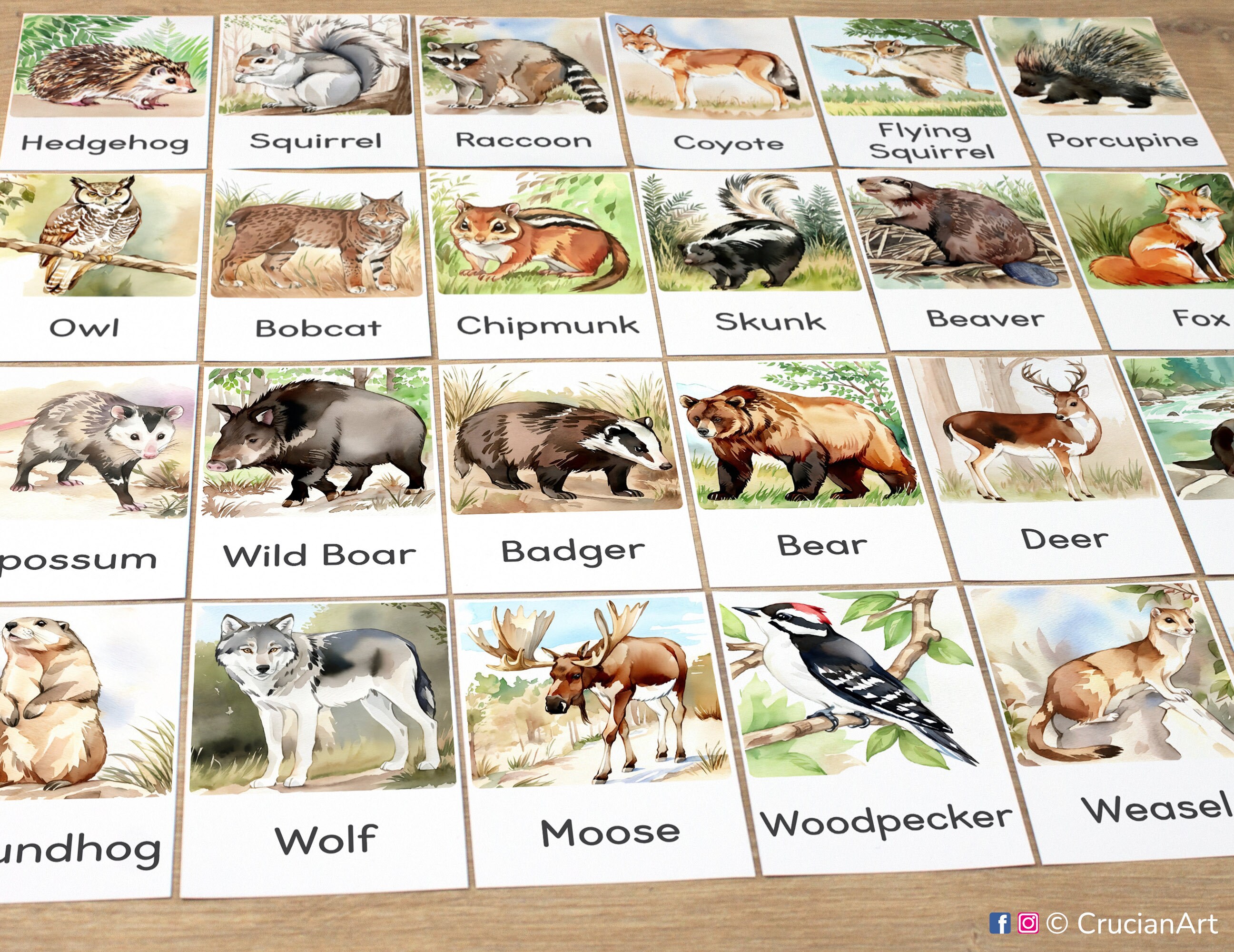 Woodland Animals Bingo Game: Printable Preschool, Kindergarten, Toddler ...