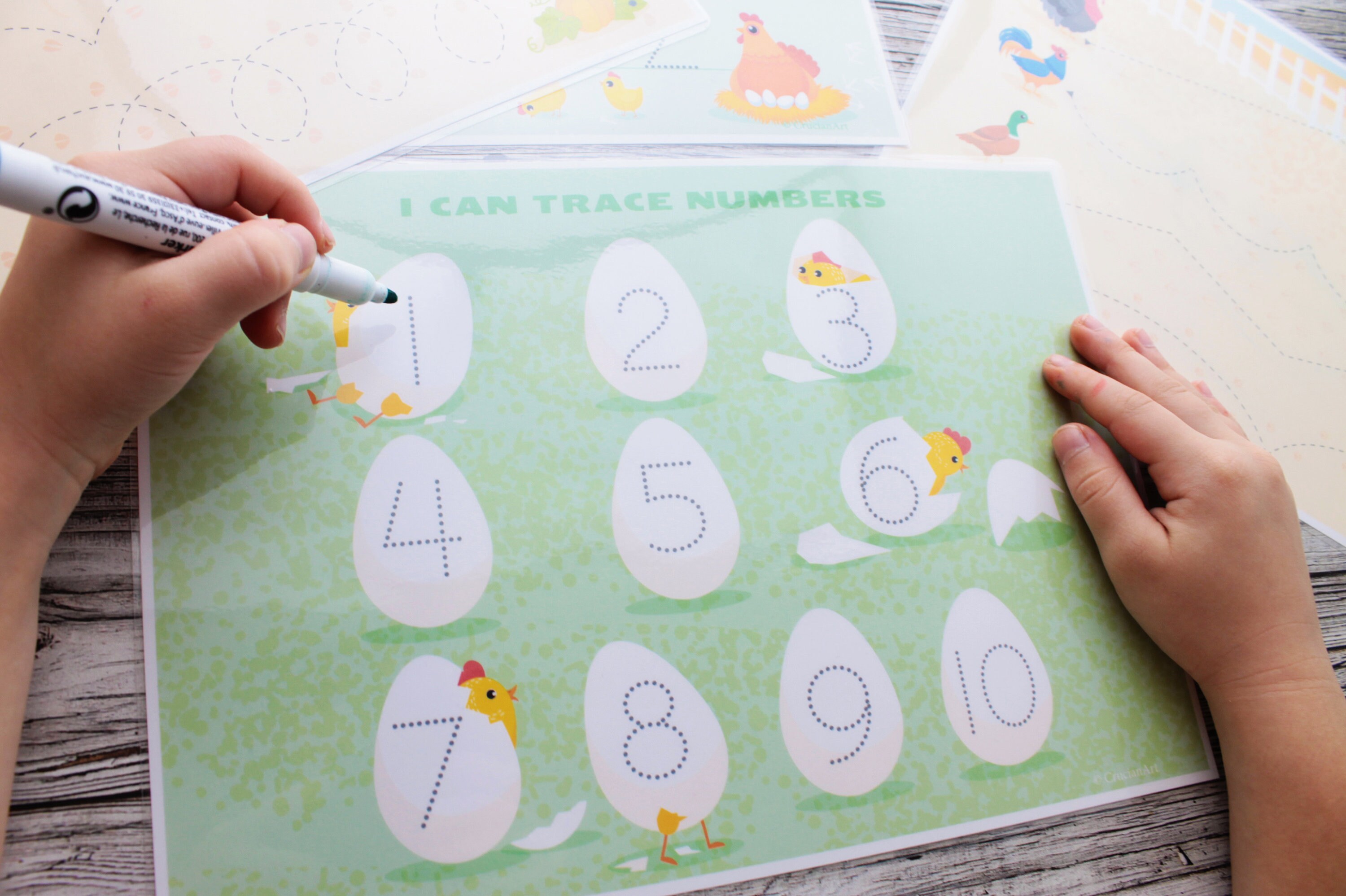 Alphabet Tracing Printable Worksheets. Farm Themed ABC | Etsy UK