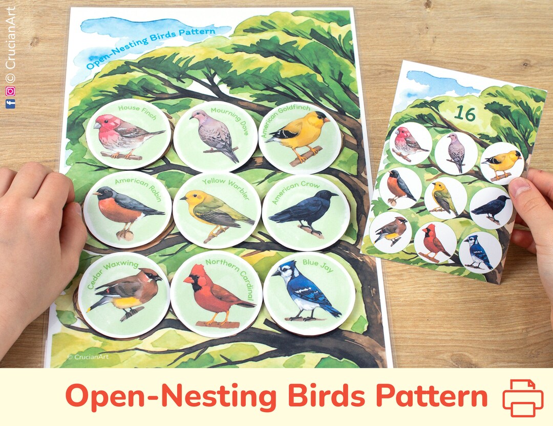 Open-nesting Birds Pattern Recognition Activity. North American Birds ...