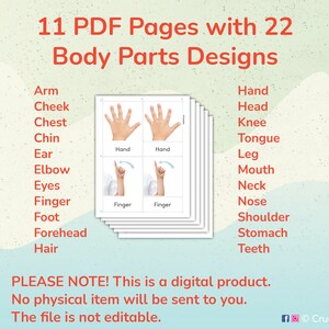Body Parts 3-part Cards, Boy Version. Body Identification Printable ...