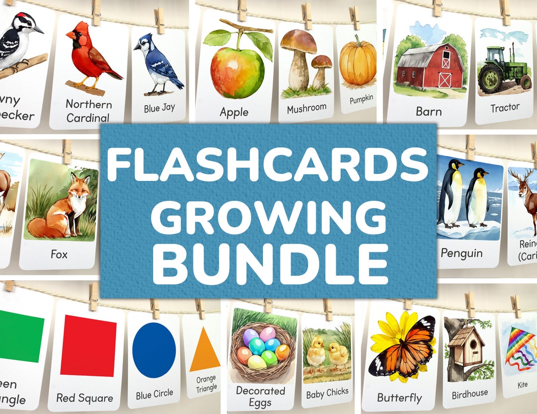 Flashcards Growing Bundle: Set of Printable Flash Cards for Toddler ...