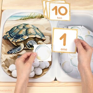 Sea Turtle Nest Flisat Insert: Egg Counting Activity for Sensory Table ...
