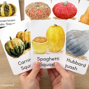 Pumpkin & Squash Flashcards: Seasonal Visual Cards for Fall Education ...