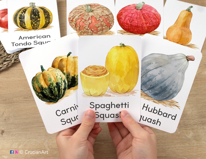 Pumpkin & Squash Flashcards: Seasonal Visual Cards for Fall Education ...