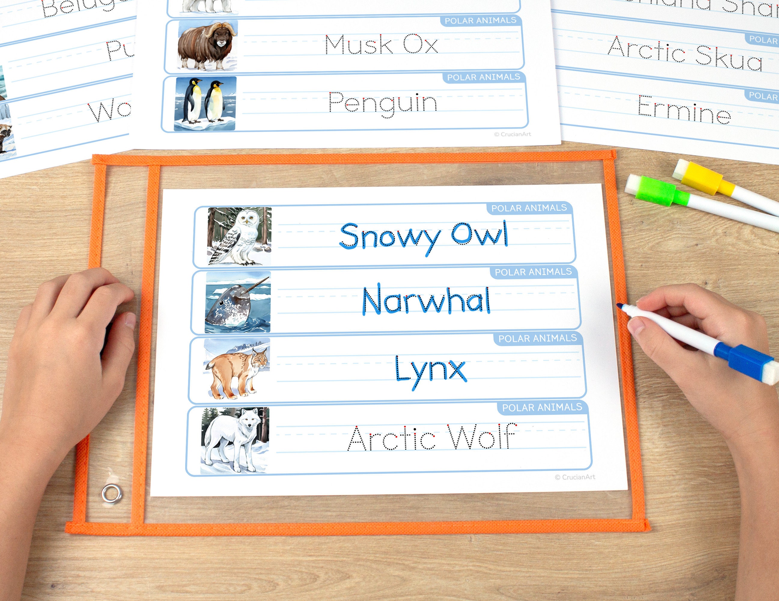 Arctic Animals Handwriting Worksheets: Printable Vocabulary Activity ...