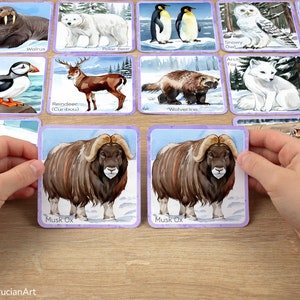 Polar Animals Memory Game: Printable Toddler Preschool Kindergarten ...
